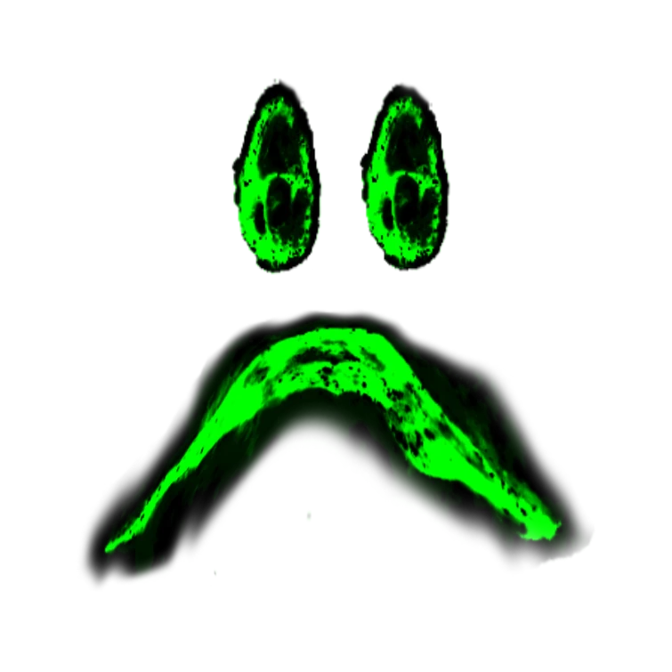 XX-60 recorded | Fandom