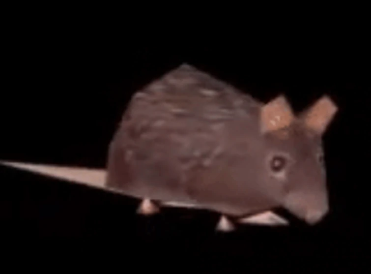 uhh pfp repost | Fandom