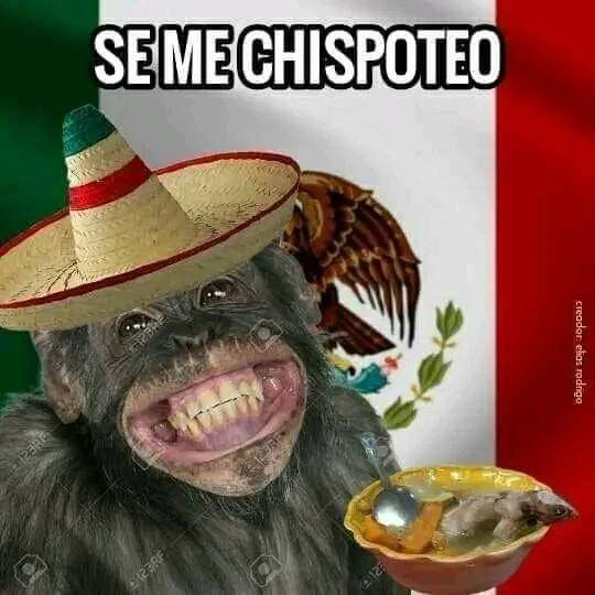 se le deberia hacer una pagina al concepto de mexichangos | Fandom