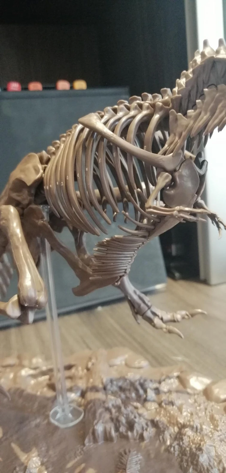 Tyrannosaurus Rex, Deinonychus skeleton. | Fandom