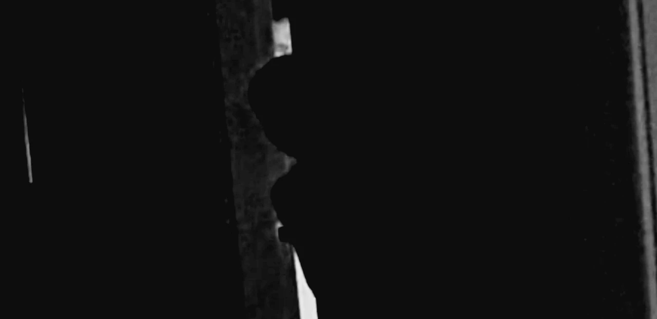 real sighting footage of mr beetroot in the backrooms | Fandom