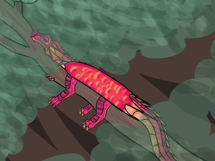 FTU RainWing snoozing on a treebranch base! | Fandom