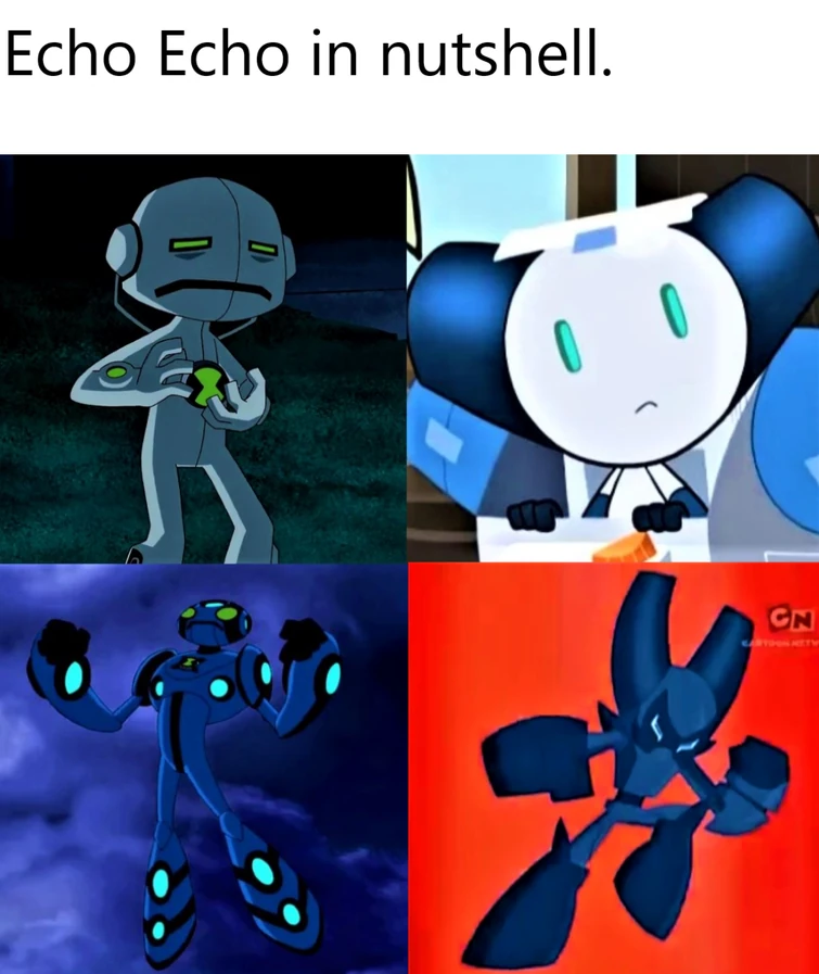 The truth about Echo Echo. | Fandom