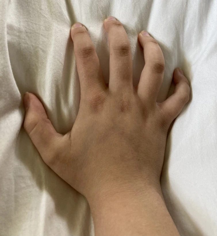 The Hoot Hoot News #42 | Fandom