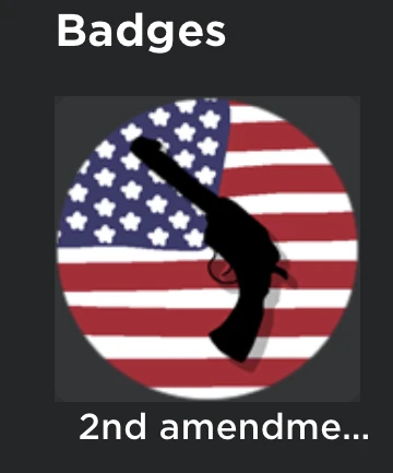 just got the 2nd amendment badge | Fandom