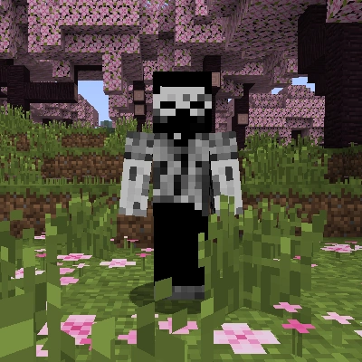 have y'all played/watched videos of the Minecraft mod: The broken ...
