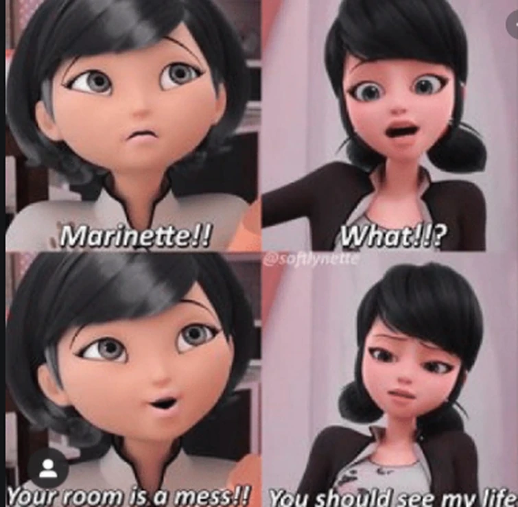 i Found the Funny memes on marinette | Fandom