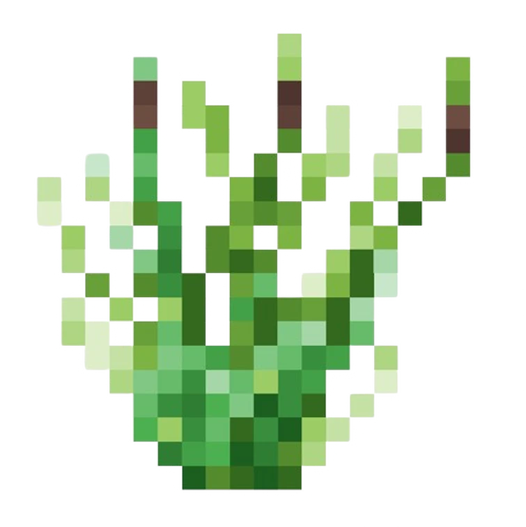 Terraria: Wrath Of The Gods: Cattail resprite! | Fandom