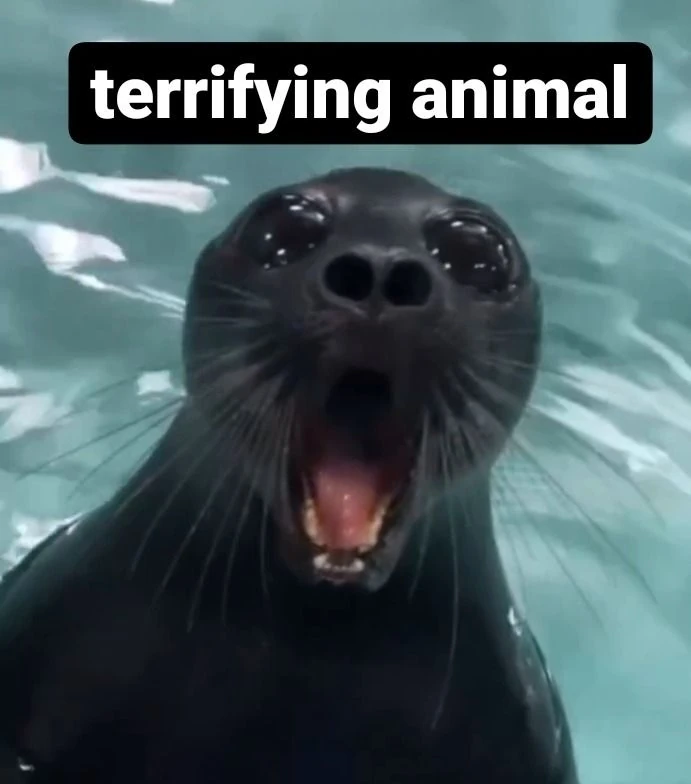 AHHHHHH SO SCARY!!!!! | Fandom
