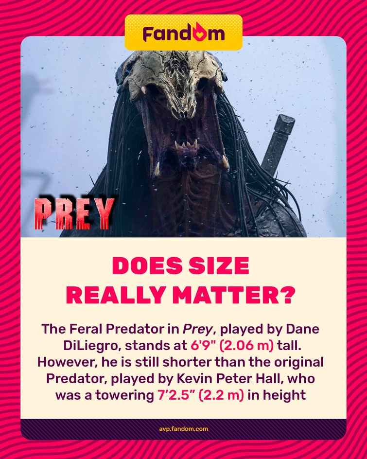 Horrific horror stories | Fandom