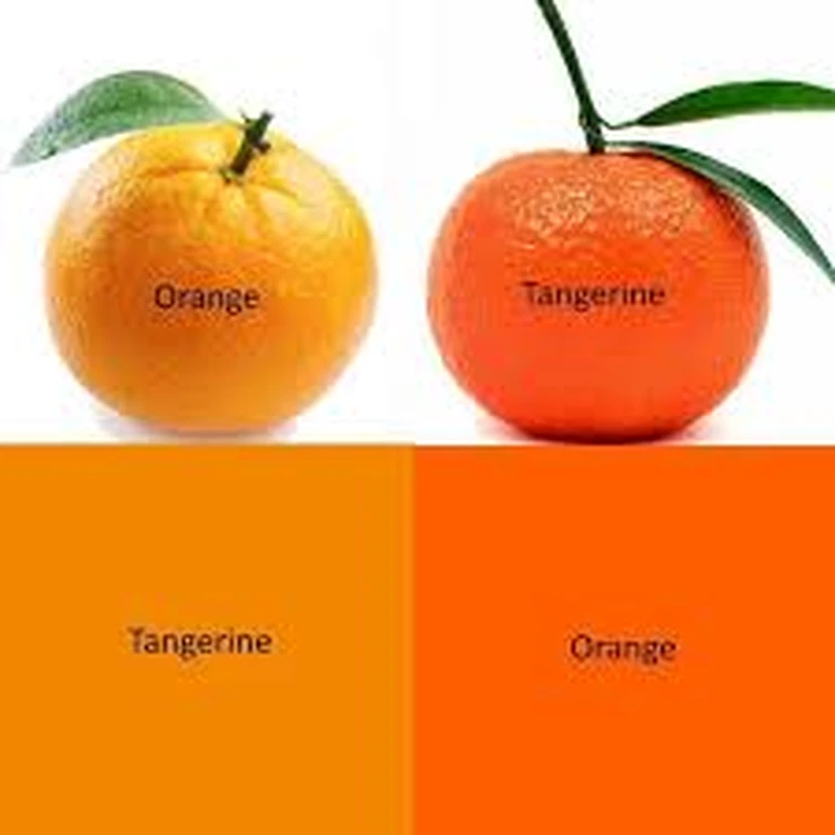 what color is an orange | Fandom
