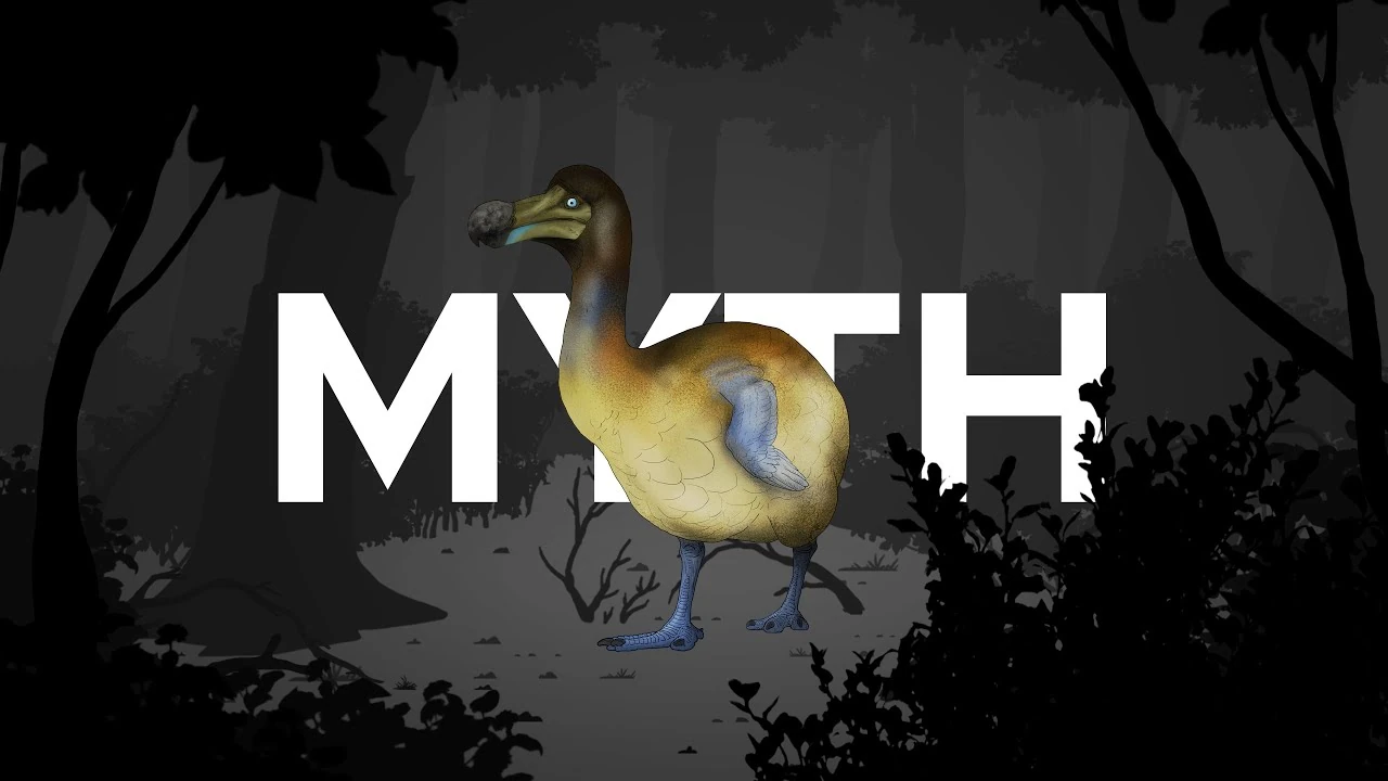 The best information about the dodo bird | Fandom