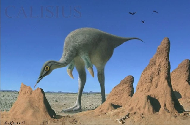 Paleo exhibit | Fandom