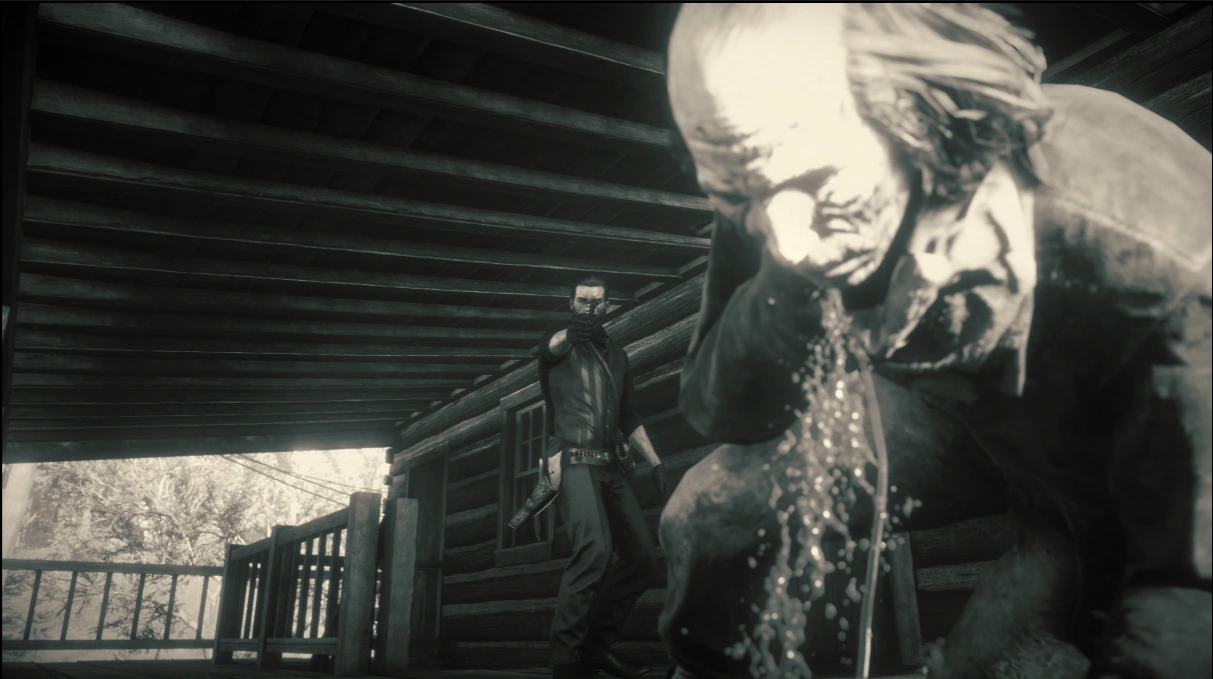 RDR2 Screenshots | Fandom