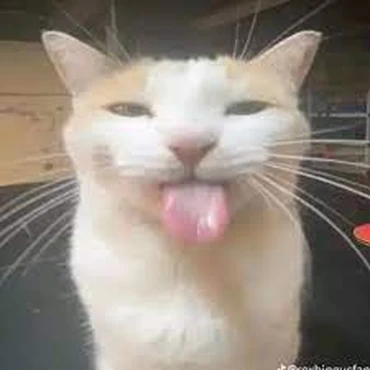 R2DA closing soon | Fandom