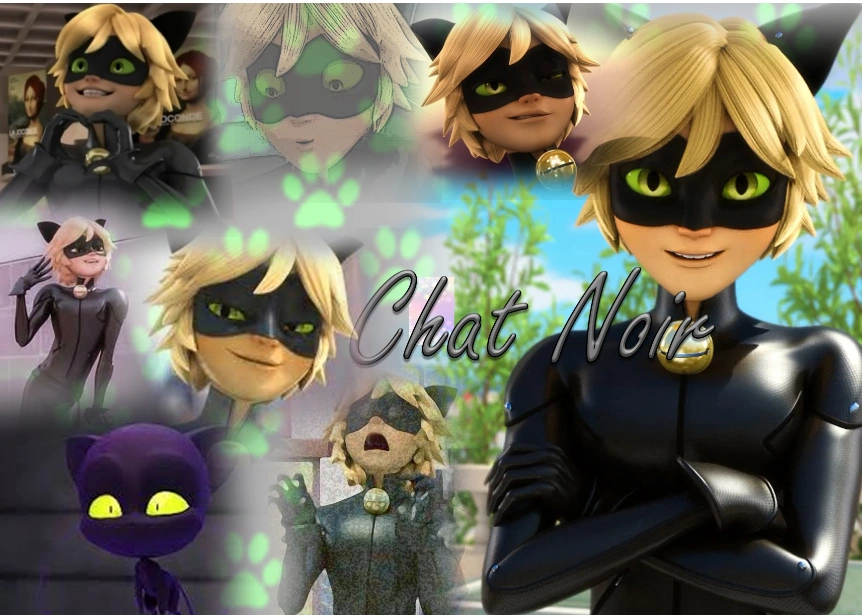 Here is the Chat! | Fandom