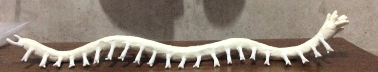 The Giant "Shining" Centipede | Fandom