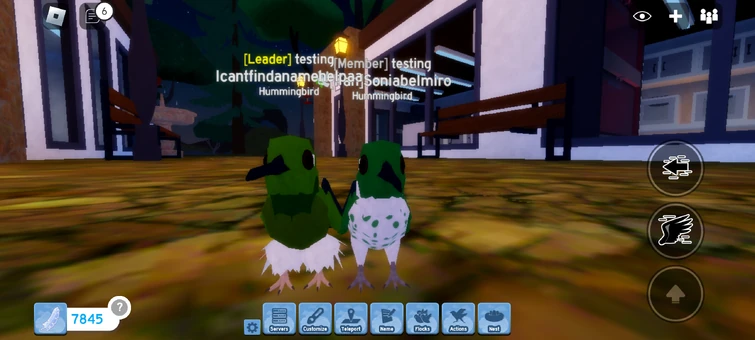 Discuss Everything About Feather Family Wiki | Fandom