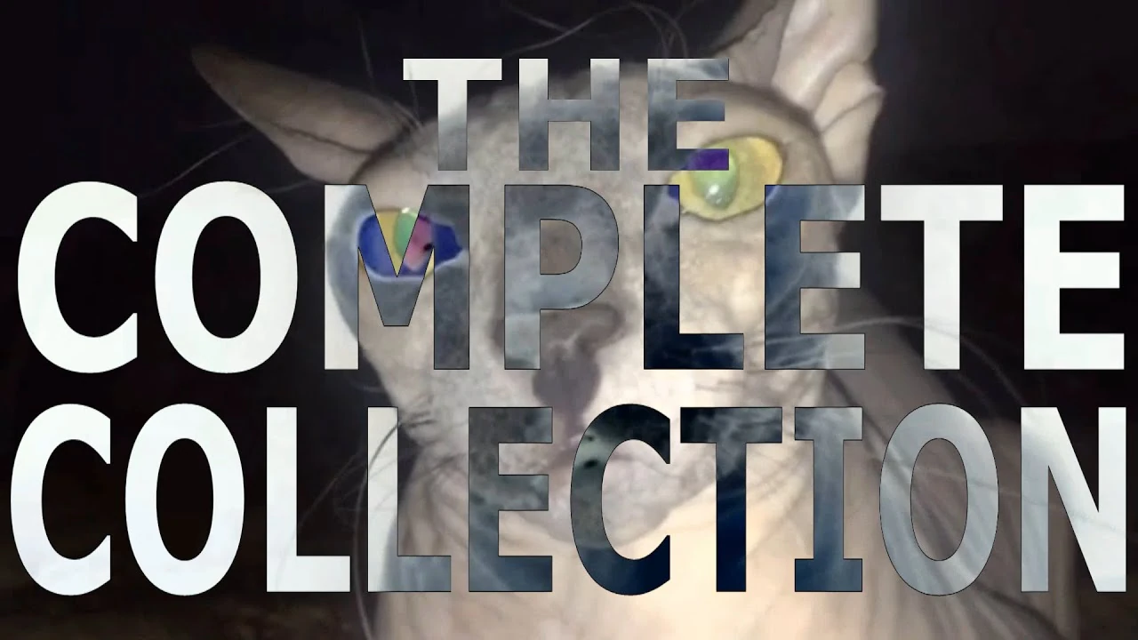 i need help with effects! | Fandom