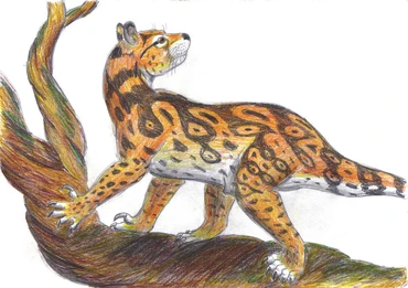 Palaeosaniwa vs wakaleo | Fandom