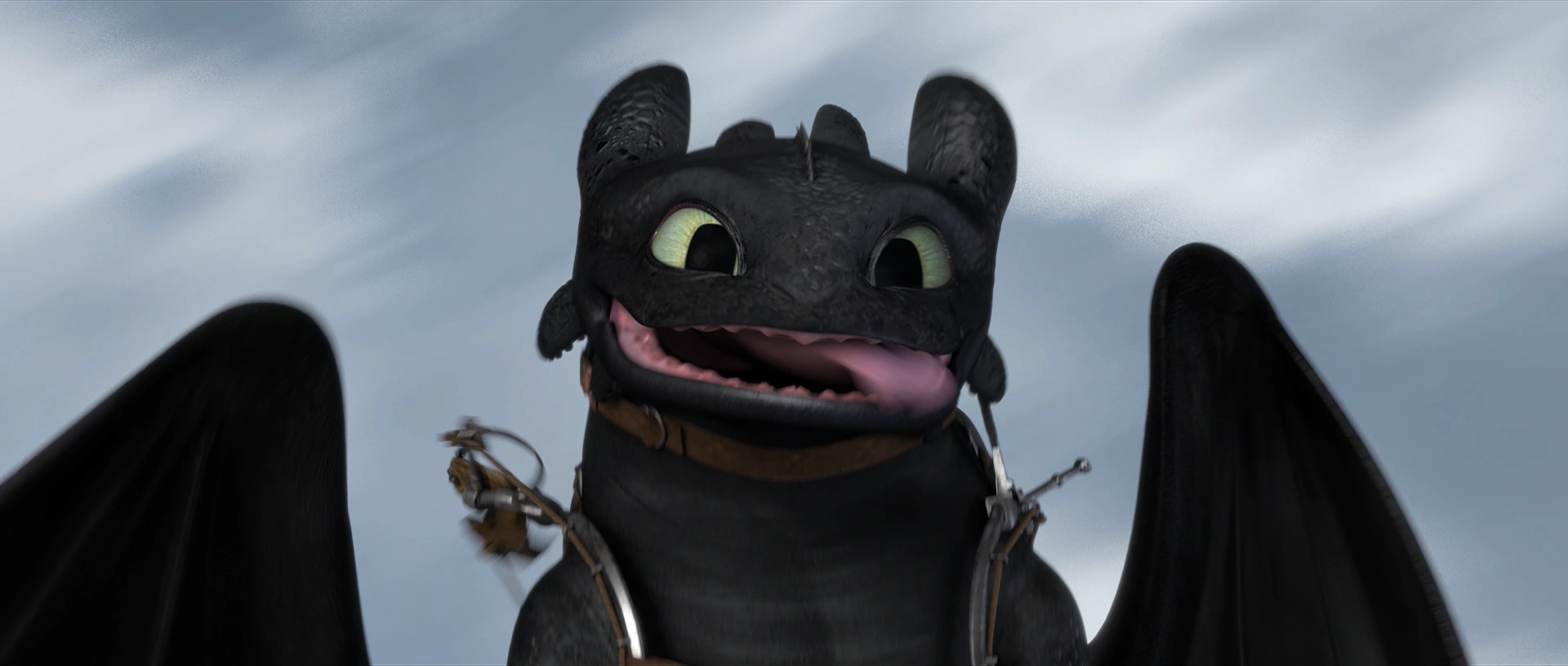 Thoughts And Opinions On Toothless! | Fandom