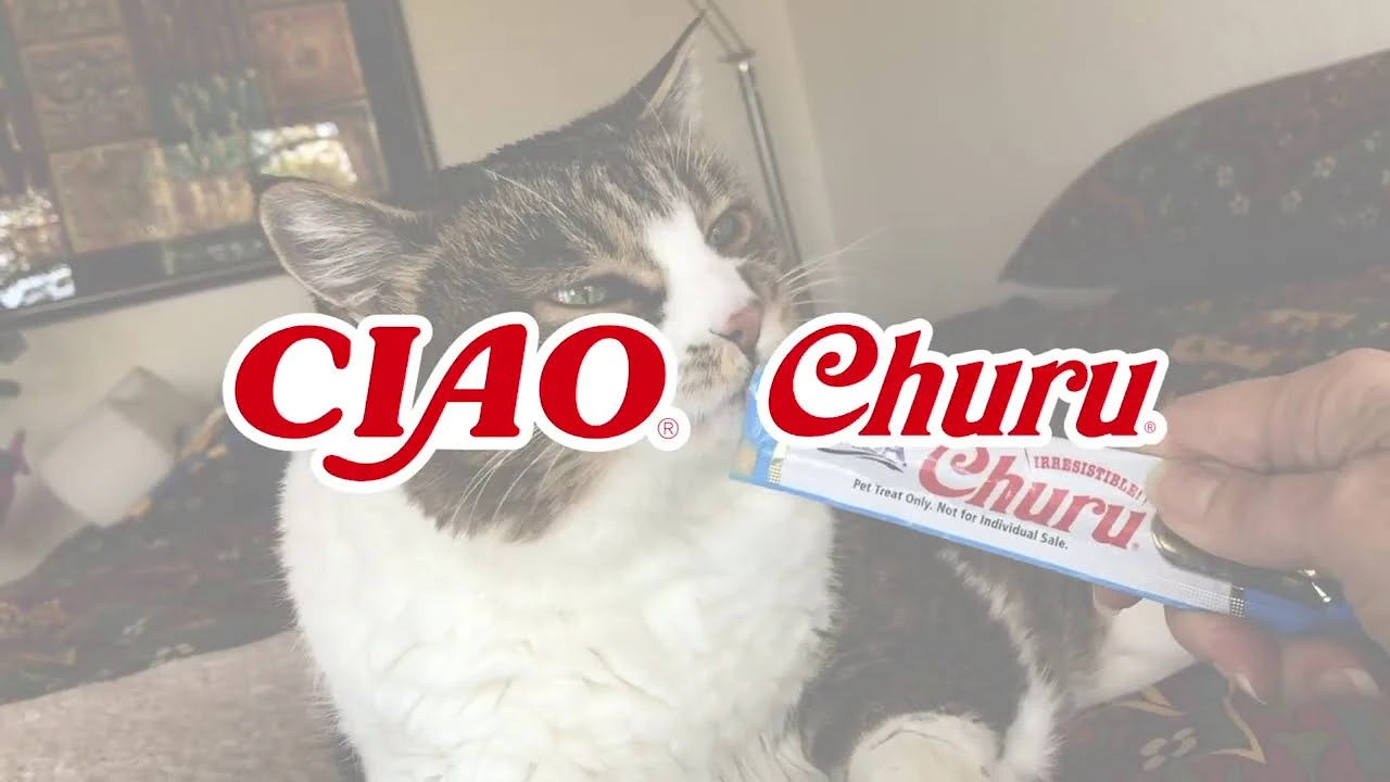 Have a full version of that Churu ad to end the day right (or start it ...