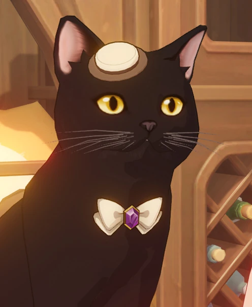 TCG quest just started | Fandom