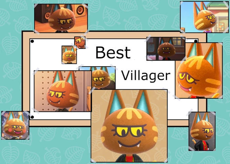 Discuss Everything About Animal Crossing Wiki | Fandom