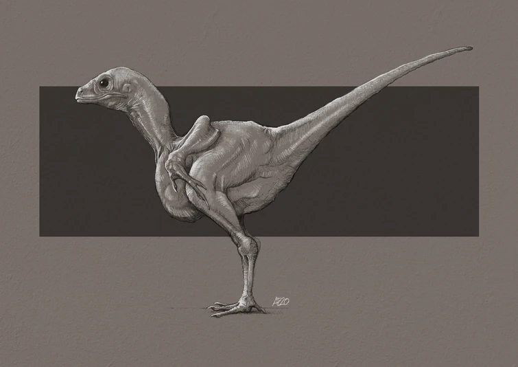 this is probably what the chickenosaurus will look like | Fandom