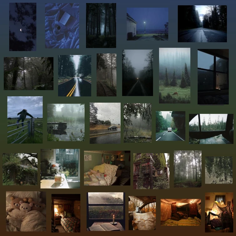 Discuss Everything About Personal Aesthetics Wiki | Fandom