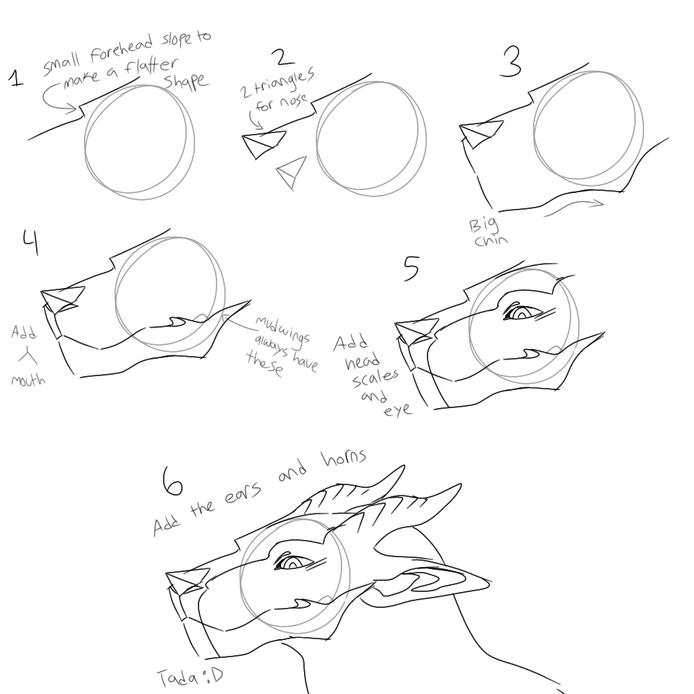Mudwing head tutorial | Fandom
