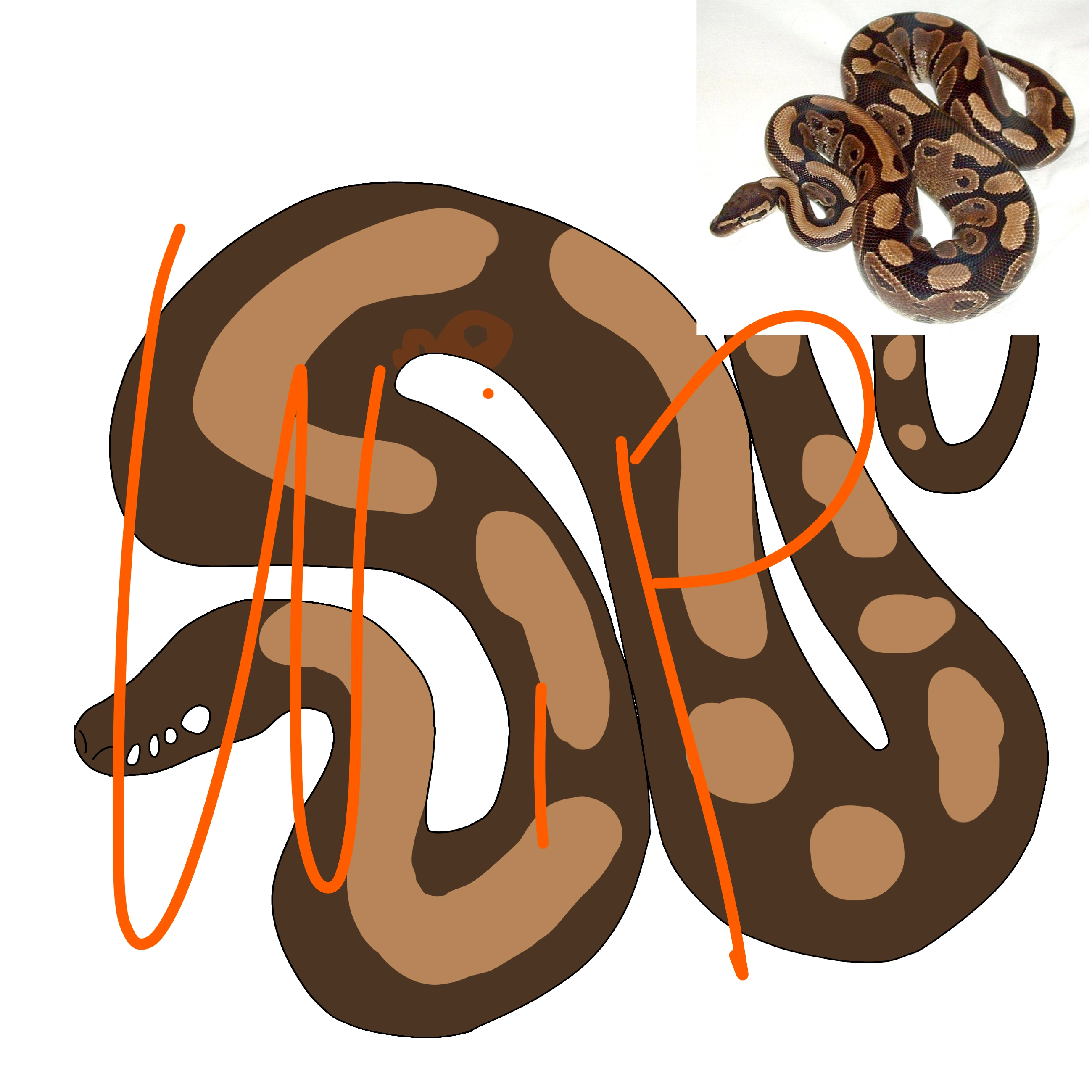 please talk to me about snakes | Fandom