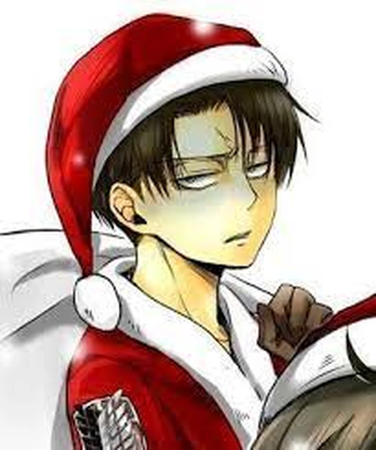 Happy Birthday, Levi! And Merry Christmas to you all! | Fandom