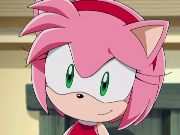i want to say again that Amy Rose is very cute! | Fandom