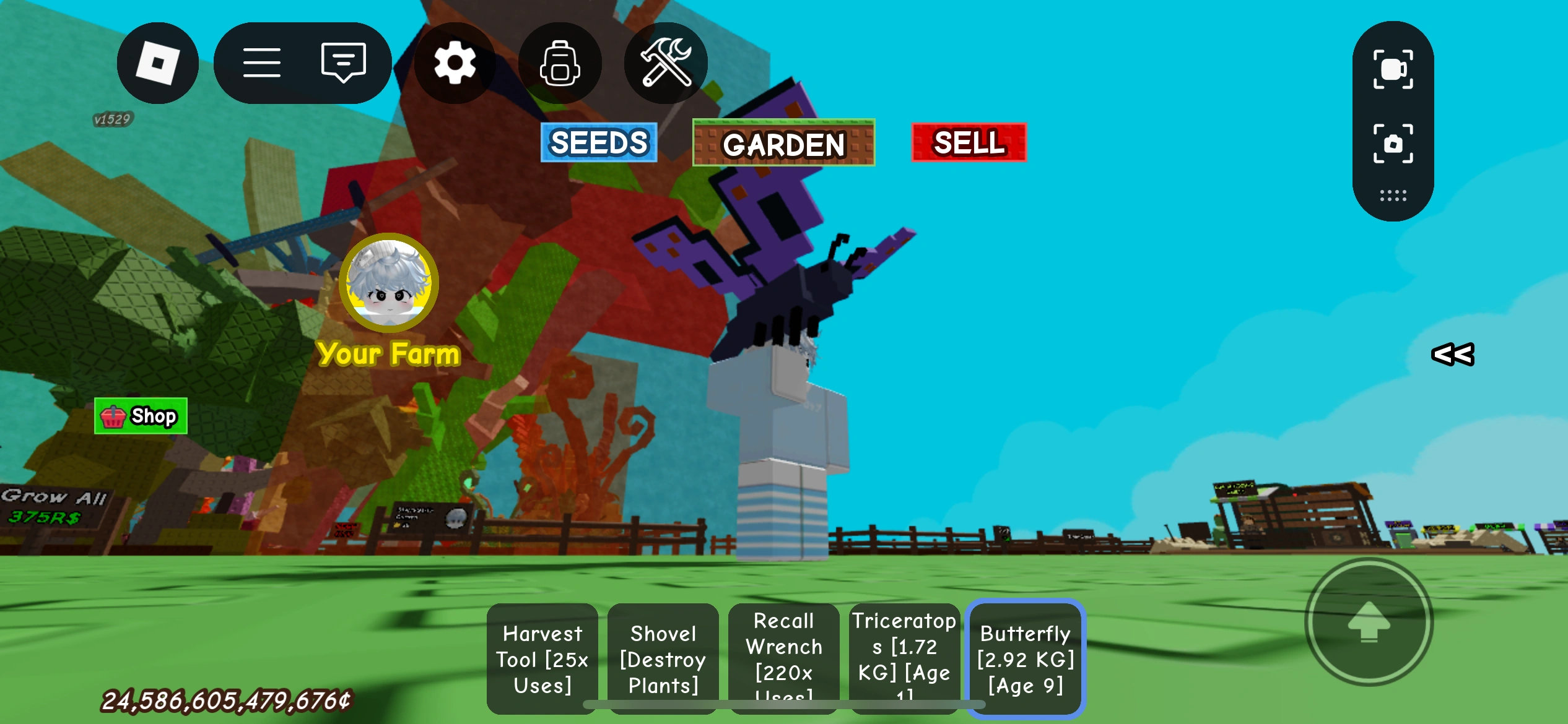 My partner got me a butterfly :D | Fandom