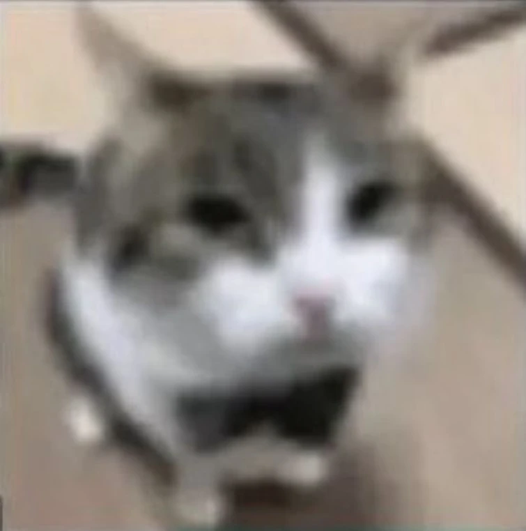 am i a silly willy billy | Fandom