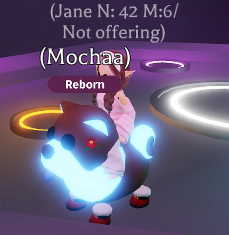 Neon Choco Chow Chow