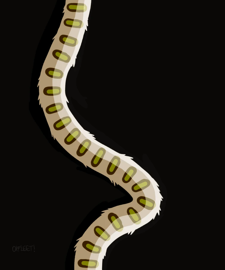 Discuss Everything About Creatures of Sonaria Wiki | Fandom