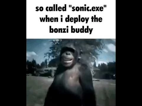 so called "sonic.exe" when i deploy the bonzi buddy | Fandom