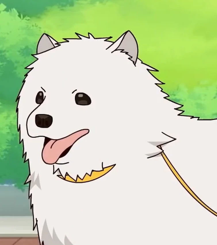 "Rui is best boy" "Tsukasa is best boy" "Toya is best boy" NO! SAMO ...