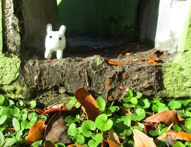 Discuss Everything About BaBa Is You Wiki | Fandom