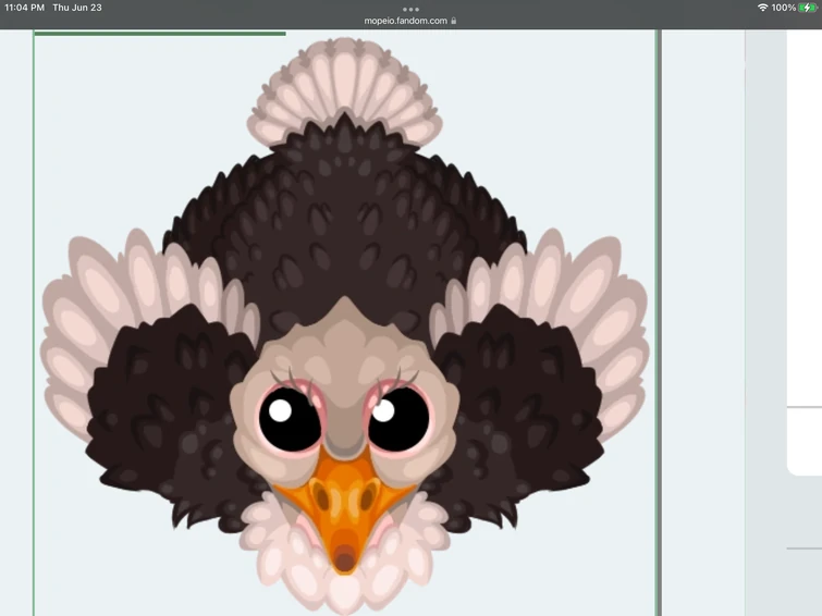 Ostrich… | Fandom