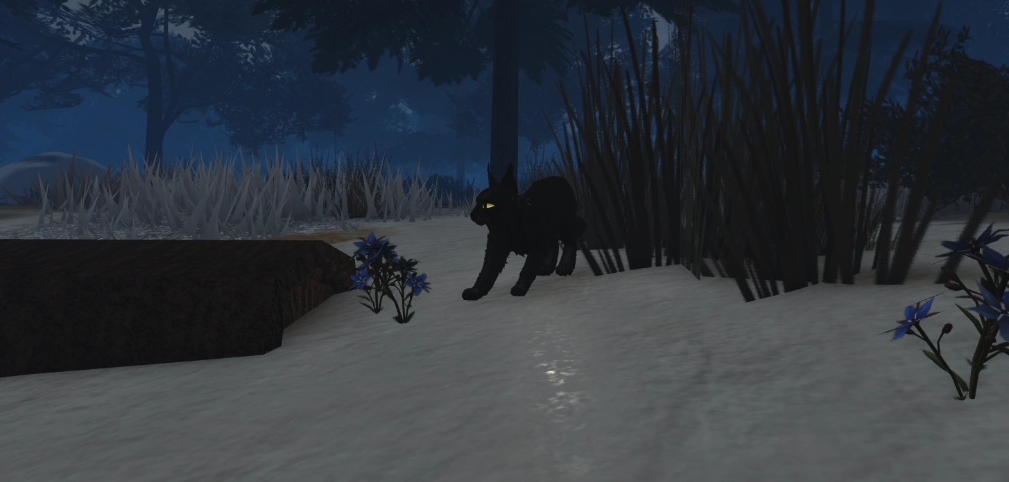 Wcue oc photoshoot! | Fandom