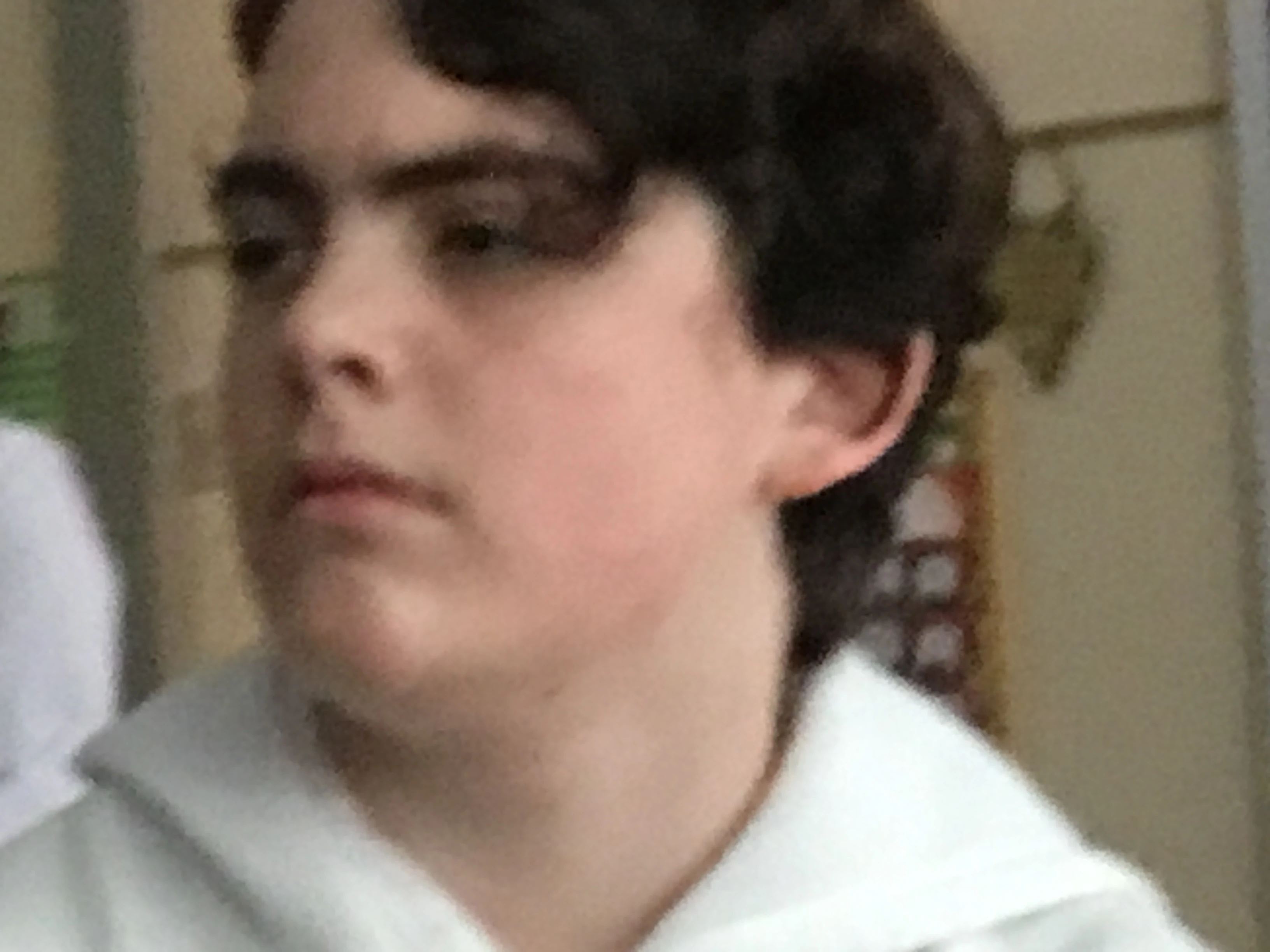 Discuss Everything About Meme Basement Wiki | Fandom