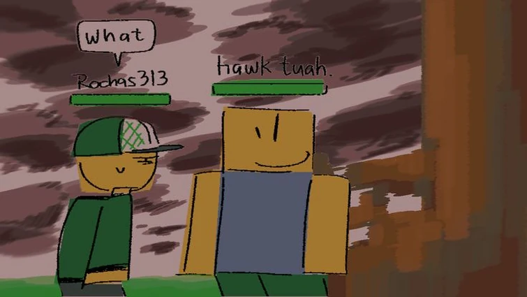 hawk tuah | Fandom