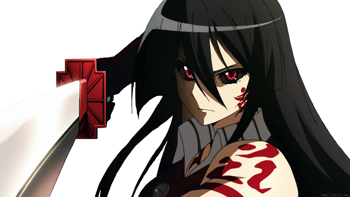 Akame (Akame Ga Kill!) Concept | Fandom