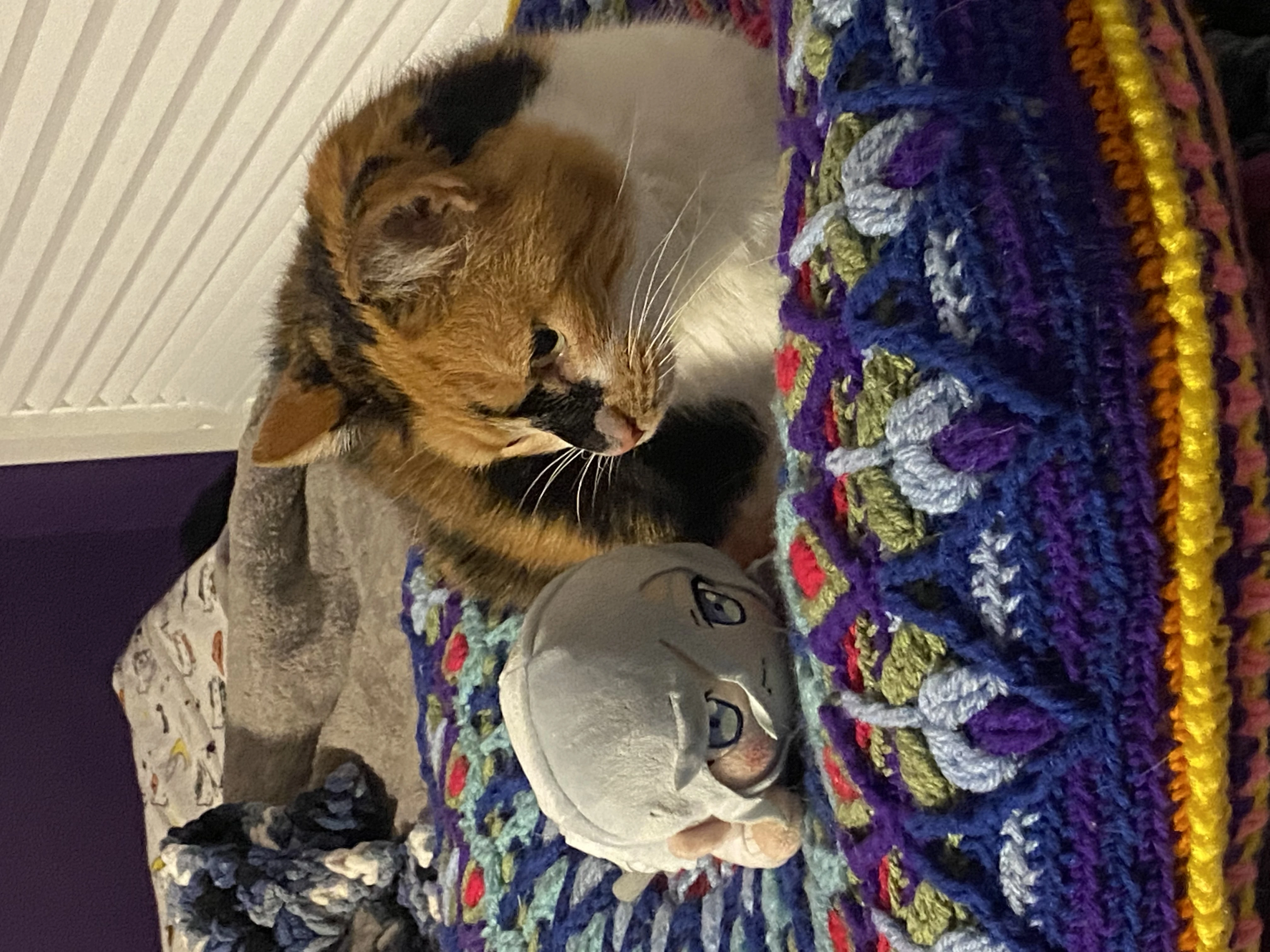 speculation time oooh | Fandom