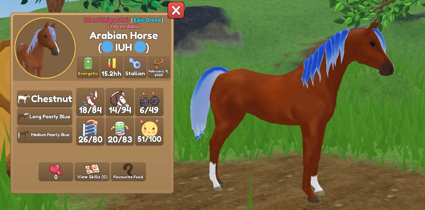 Trading Pearly Blue Chestnut Arabian | Fandom