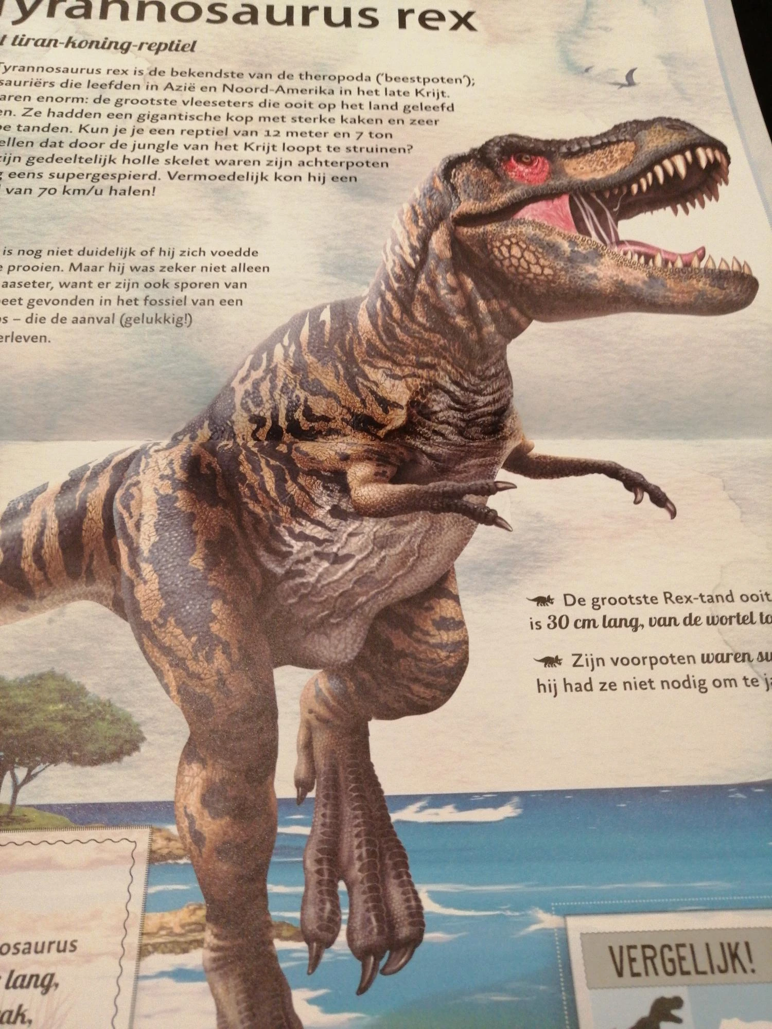 T. Rex from the book | Fandom