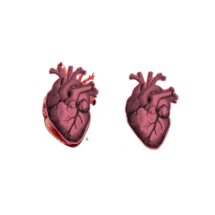 heart to heart | Fandom